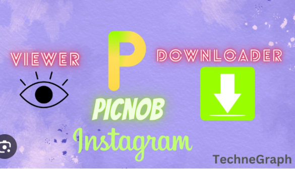 Picnob Review - How To View Instagram Without An Account - Toomic